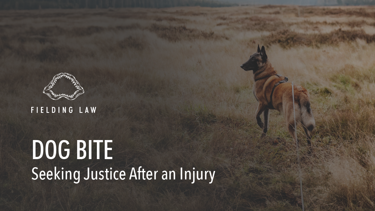 Dog Bite Injury Lawyer | Fielding Law Firm, APC